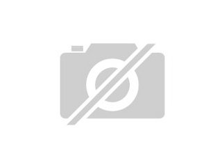 Potamotrygon Rochen Albino Perlen Weibchen · Rochen